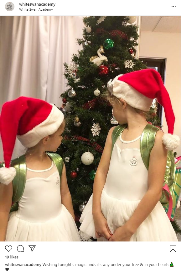 White Swan Academy – Dream Create Inspire